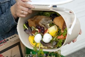 Putrescible Waste « Zero Resource